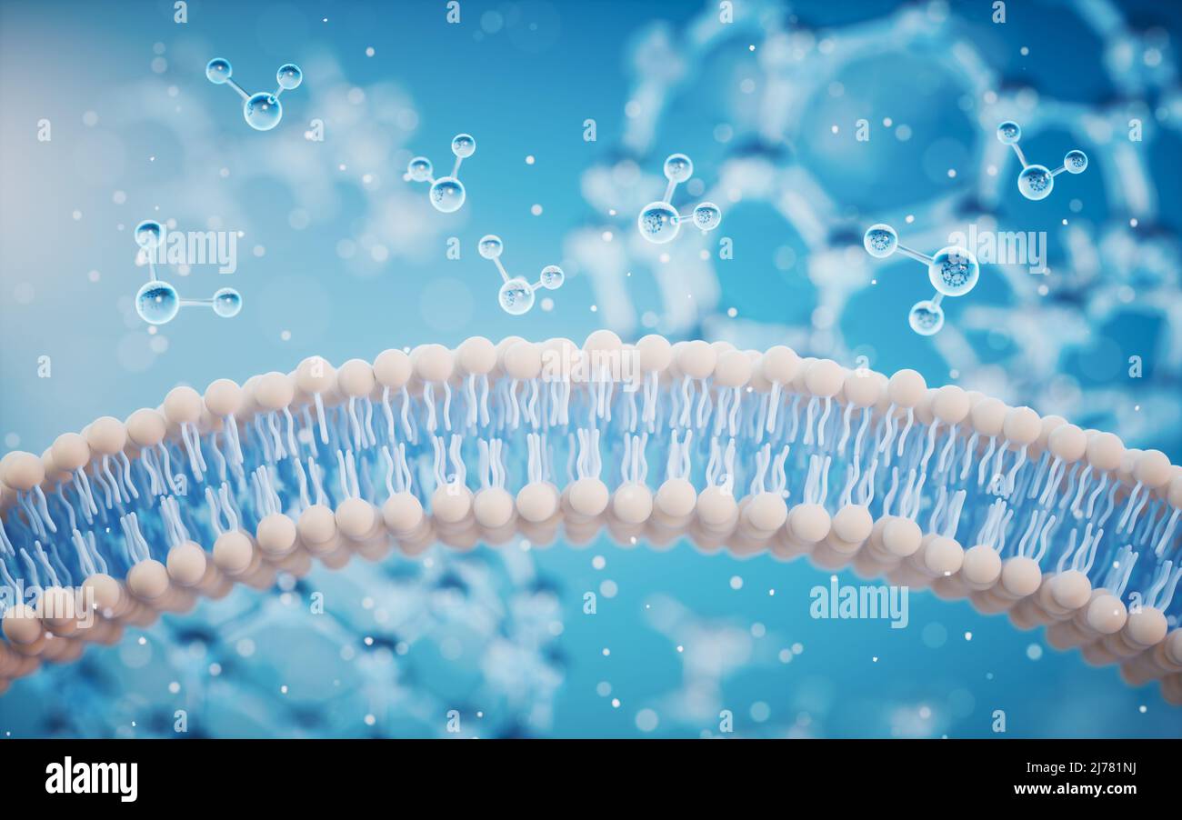 Cell membrane with blue background, 3d rendering. Computer digital ...