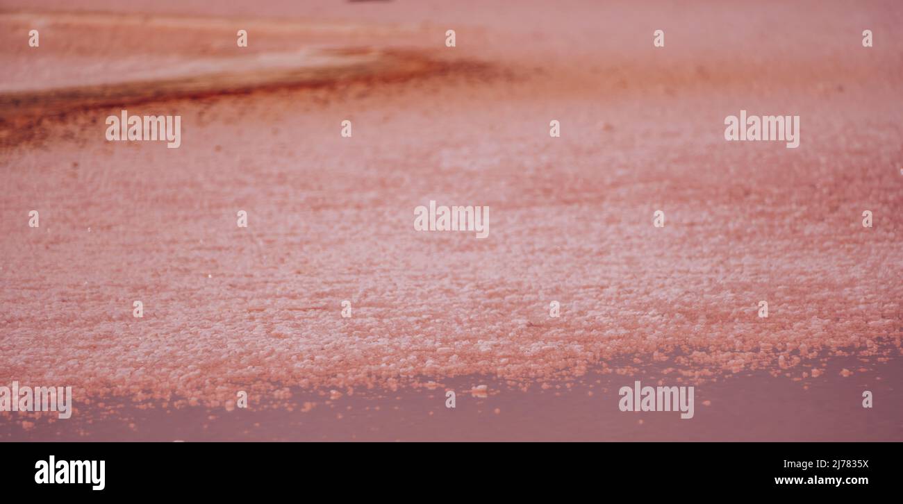 Pink salt crystals. Natural pink salt lake texture. Salt mining ...