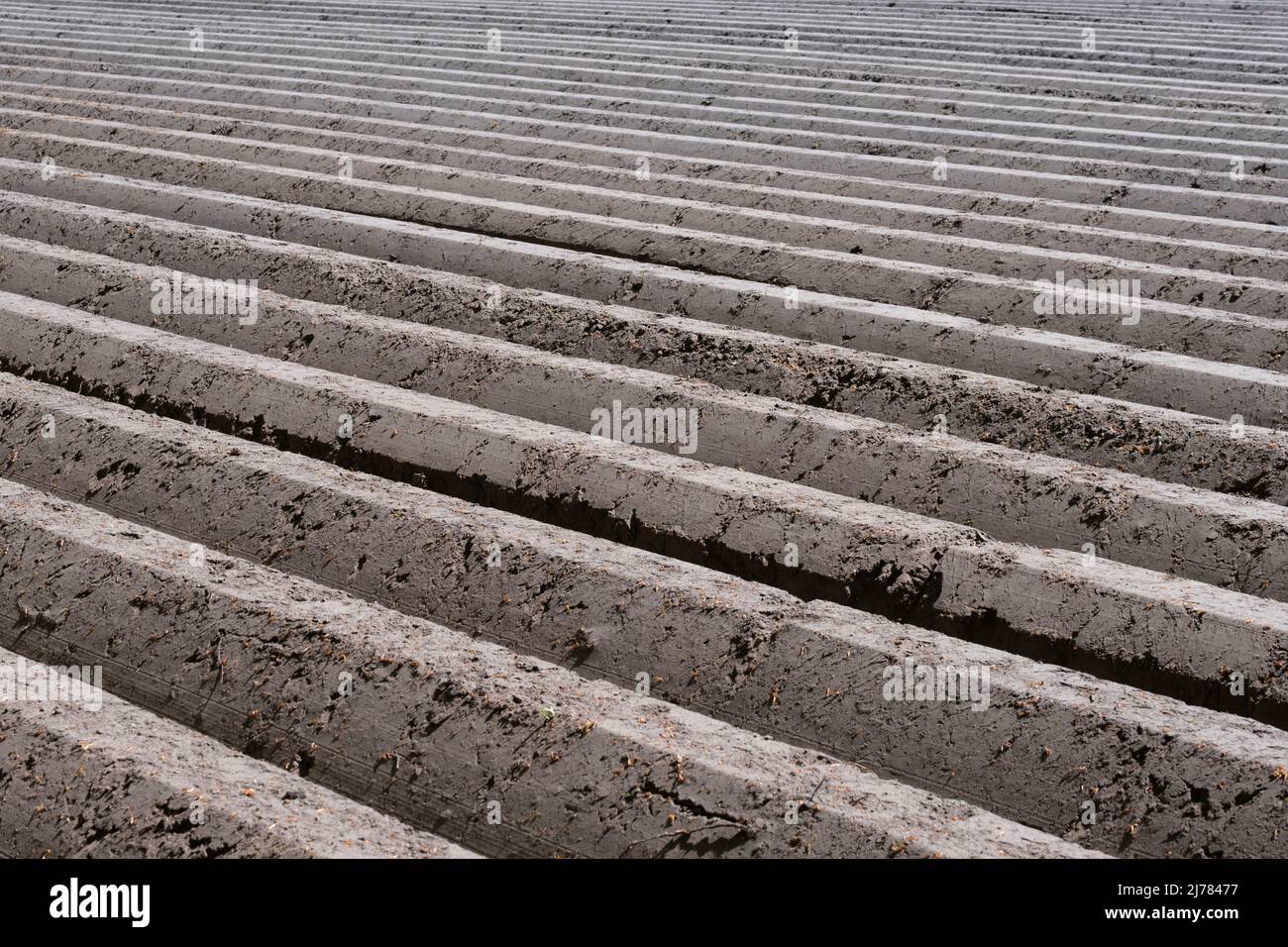 Background with deep plowed straight furrows in the earth necessary for ...