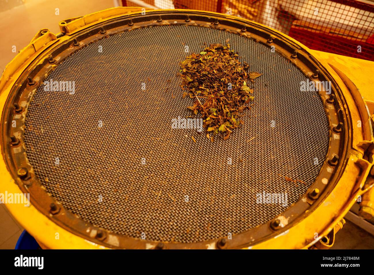 Dried tea leaves. Production line inside tea factory in India Munnar ...