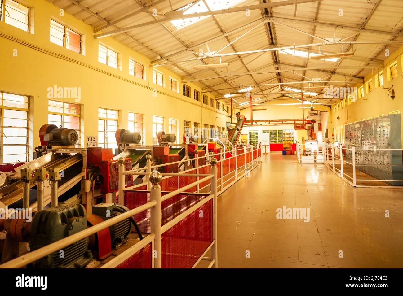Dried tea leaves. Production line inside tea factory in India Munnar ...