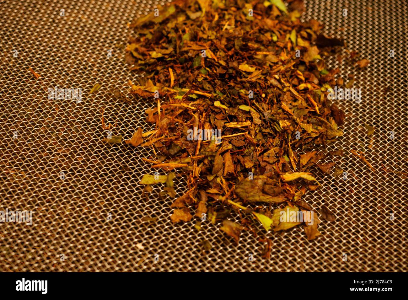 Dried tea leaves. Production line inside tea factory in India Munnar ...