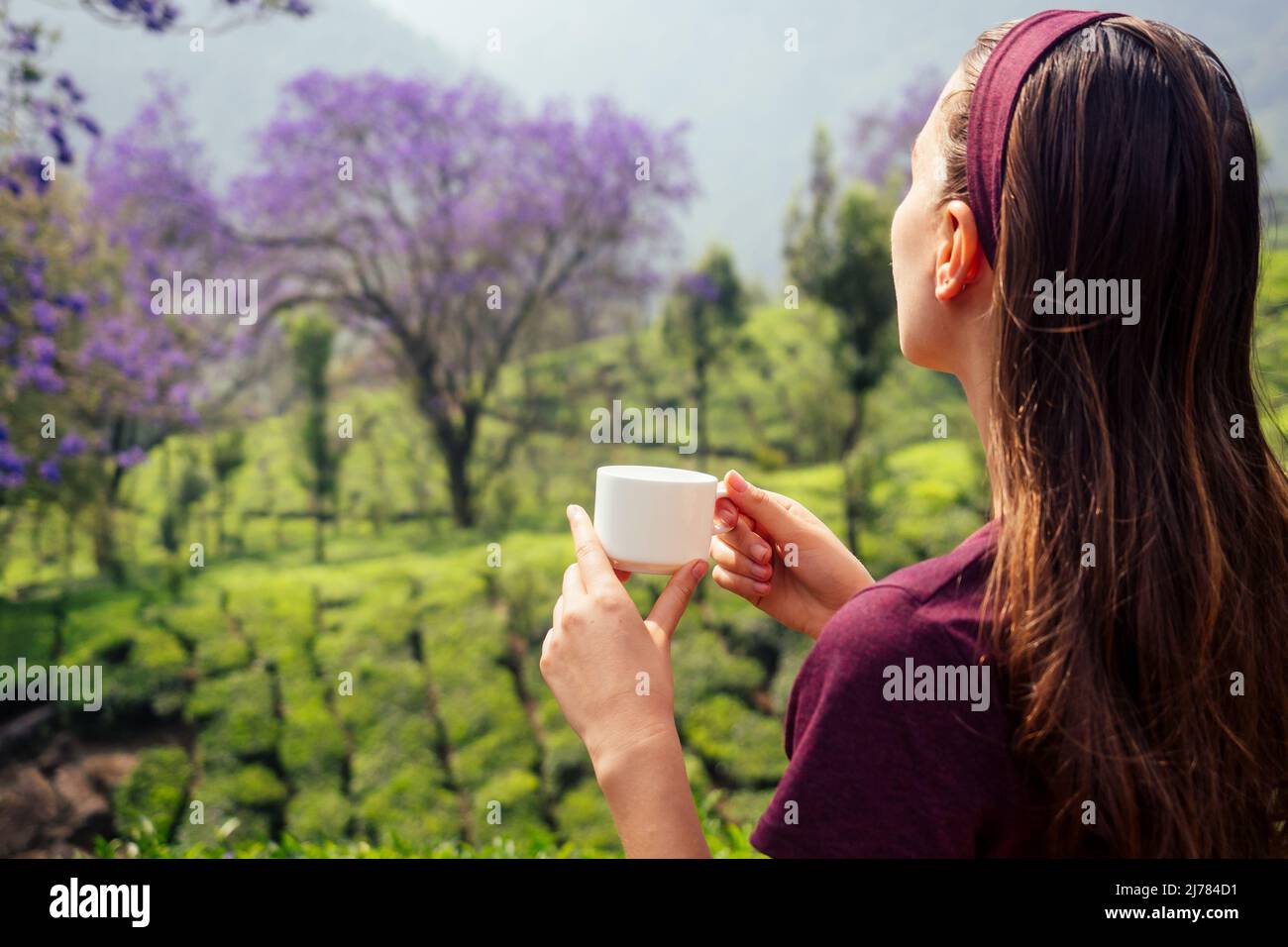 tea cup in female hands backgrounds of mountains with green plant ...