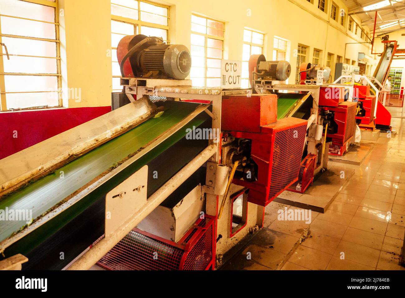 Dried tea leaves. Production line inside tea factory in India Munnar ...