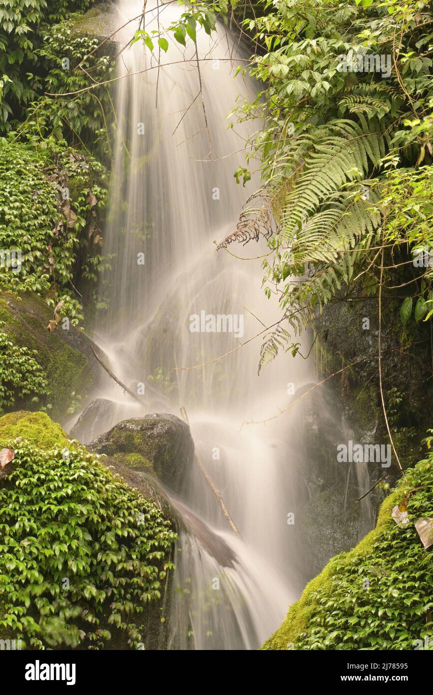 Sikkim village hi-res stock photography and images - Alamy