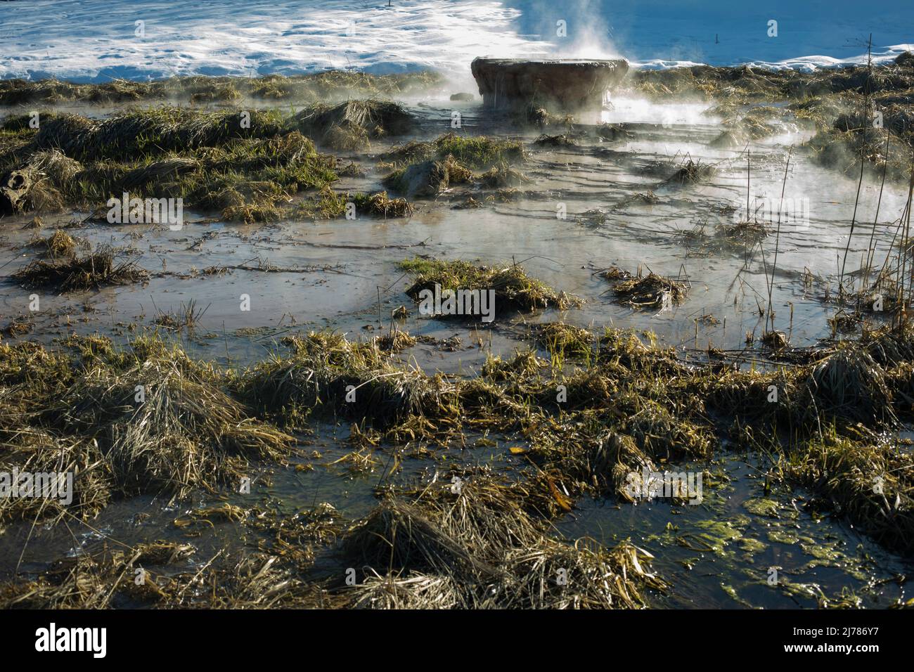 Pipe sticks out of ground in swamp. Artifact in environment. Rusty pipe ...