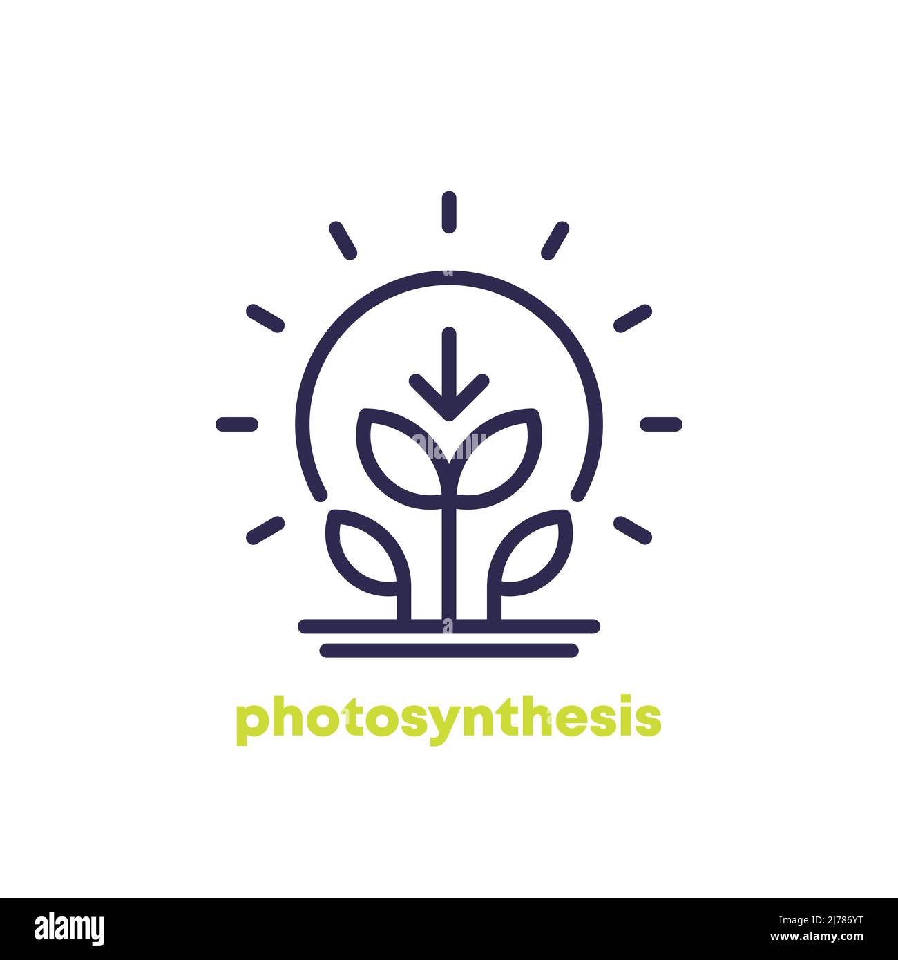 photosynthesis line icon with plant and sun Stock Vector Image & Art ...