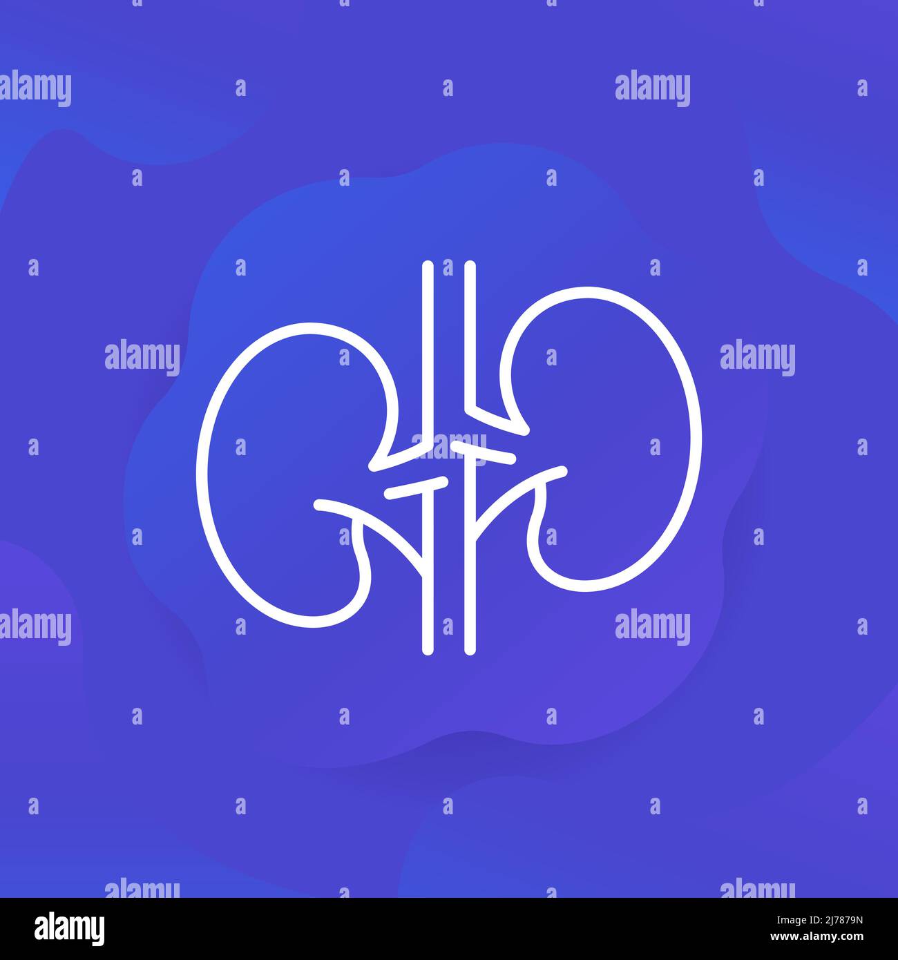Nephrology icon hi-res stock photography and images - Alamy