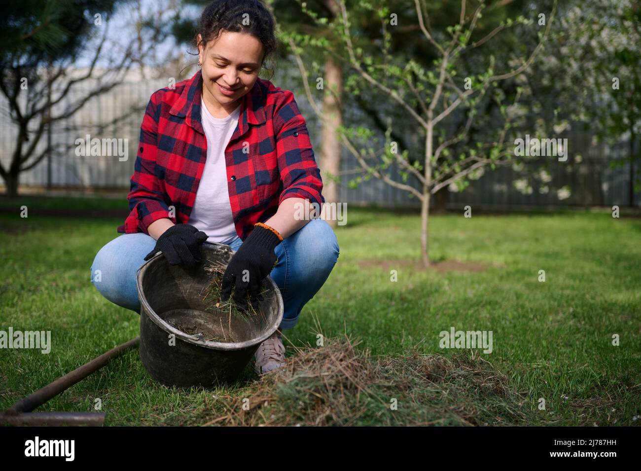 Pleasant African female gardener, housewife putting the mowed grass ...