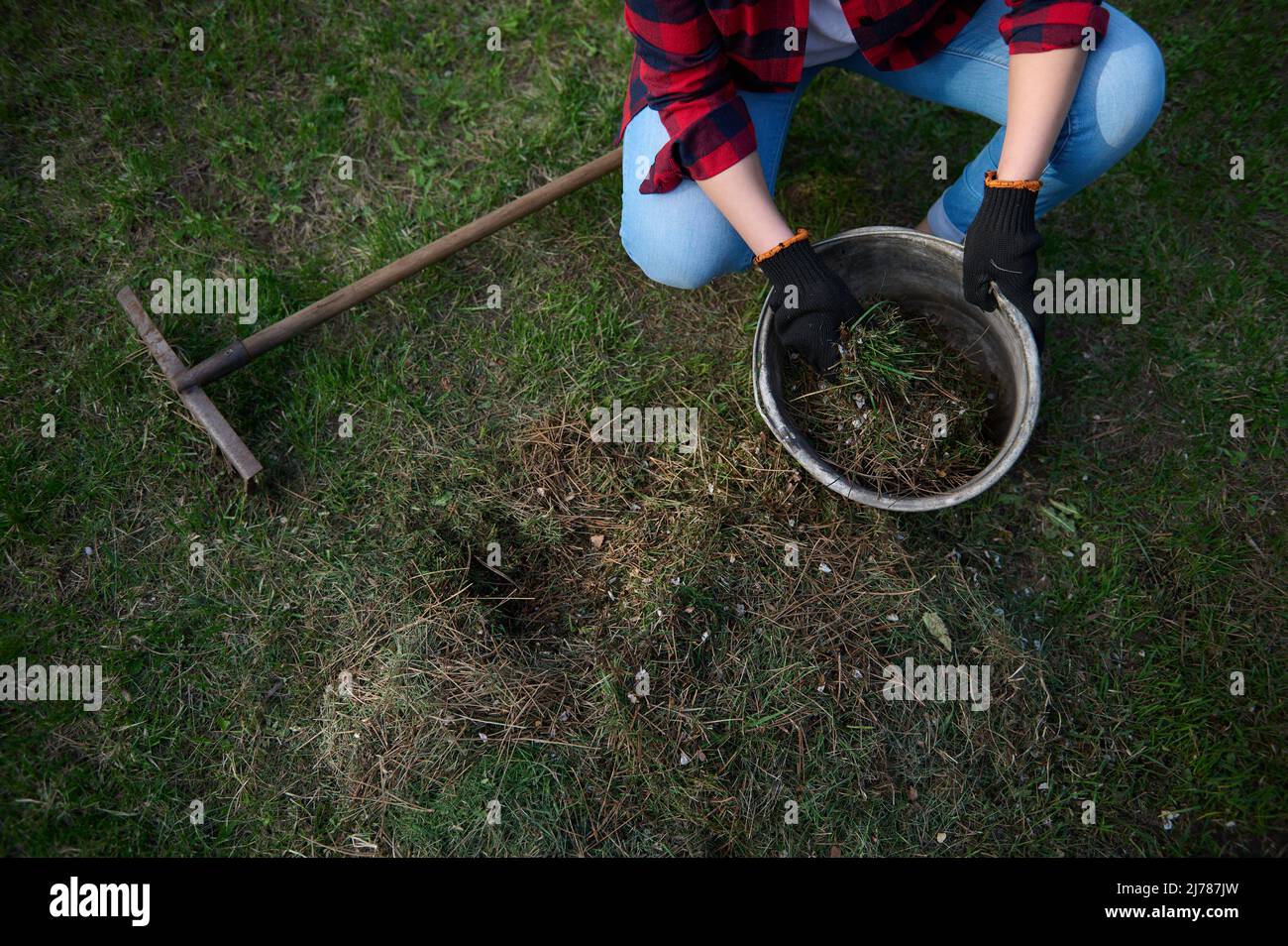 Overhead view of a gardener putting the mowed grass into a bucket for ...