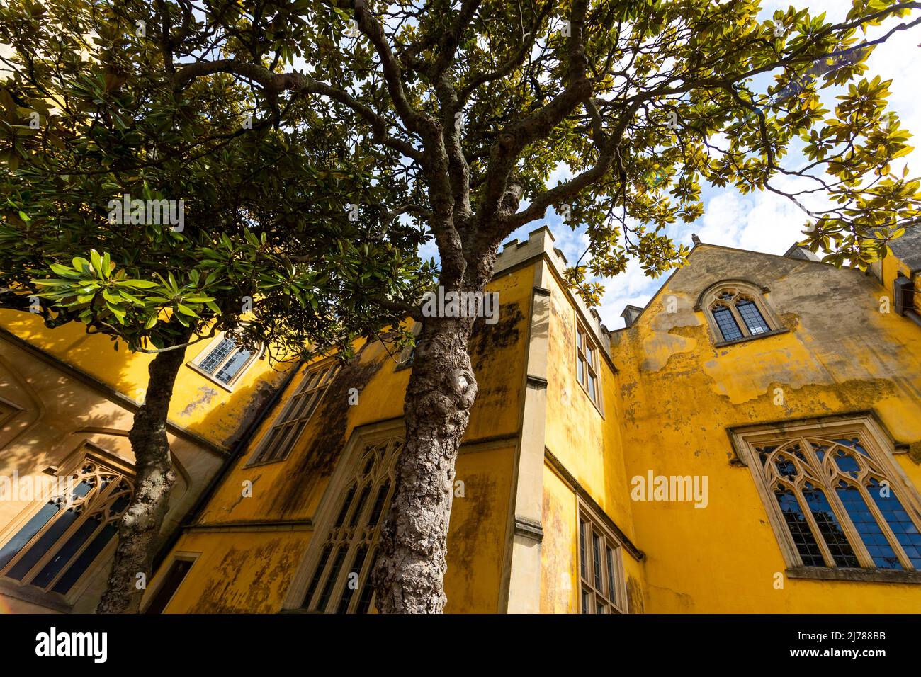 Ashton Court Estate, Bristol Stock Photo - Alamy