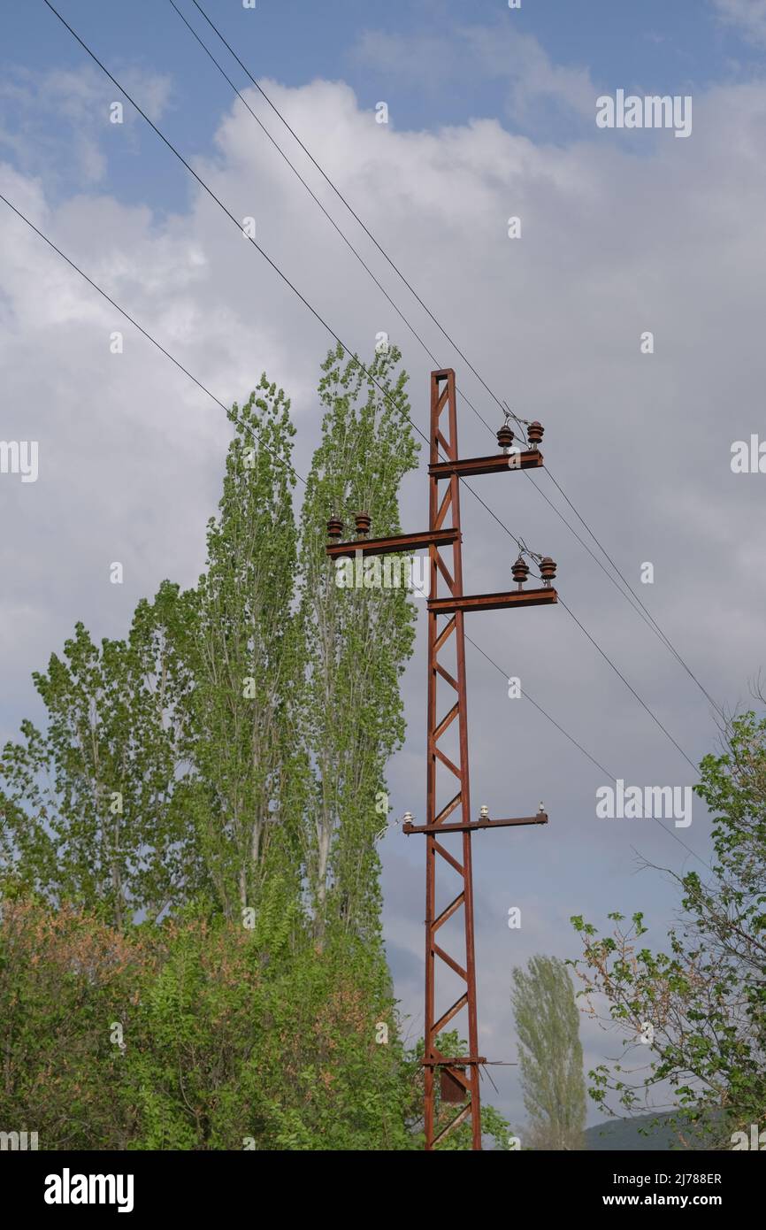 Rustic, electric post, metal and rust electricity post near the poplar ...
