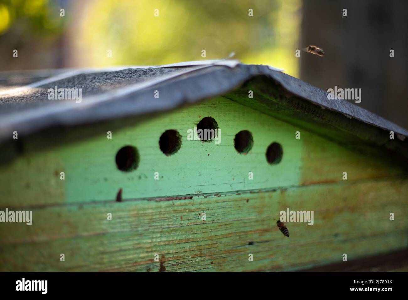 Details of apiary. House for bees. Holes for bees. Creating honey on ...