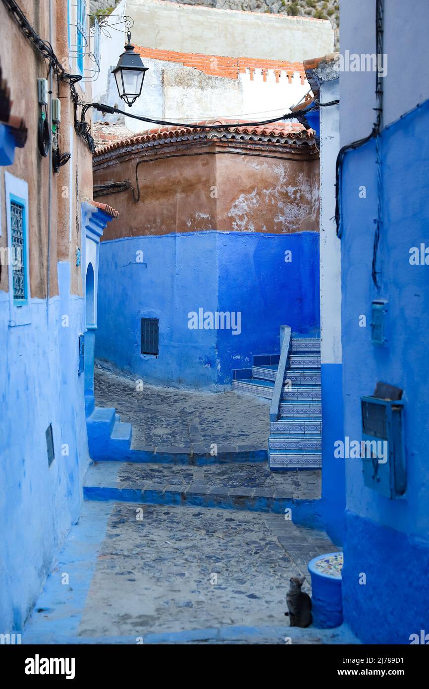 A Street in Blue Chefchaouen City, Morocco Stock Photo - Alamy