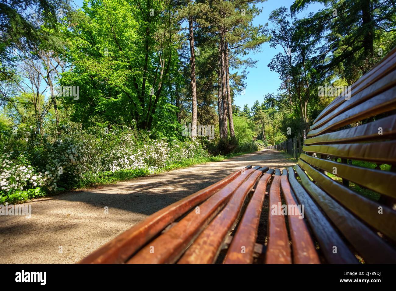 Wooden bench on a walk through the park with trees and flowers, Campo ...