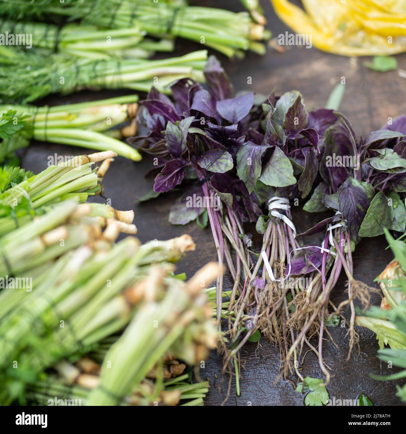 Fresh bio vegetables and herbs at the morning street farmer market ...