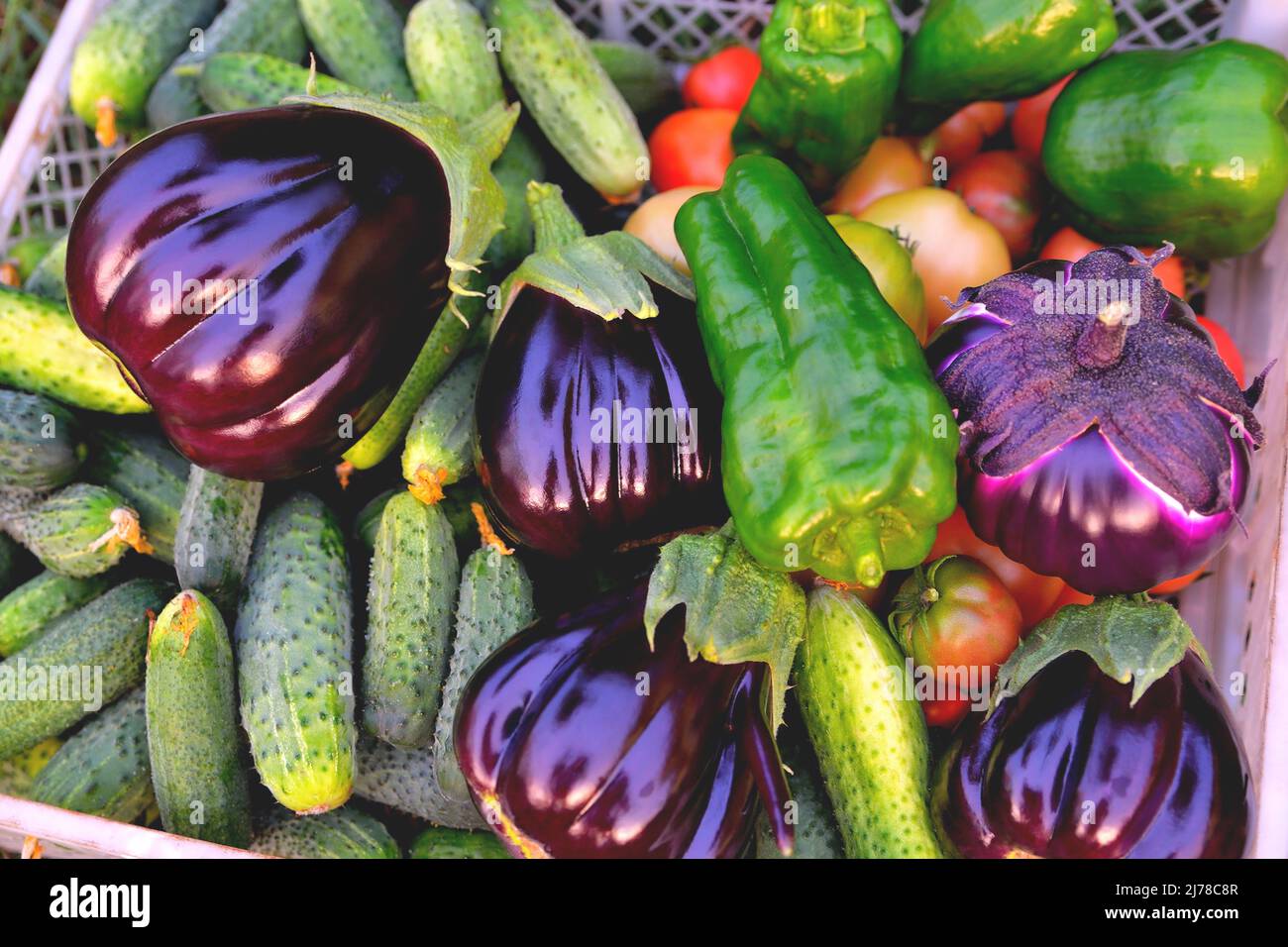 Vegetables in a box hi-res stock photography and images - Alamy