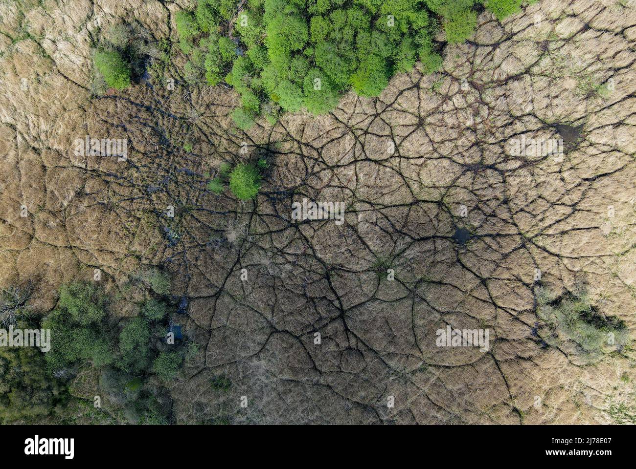 Reed map hi-res stock photography and images - Alamy