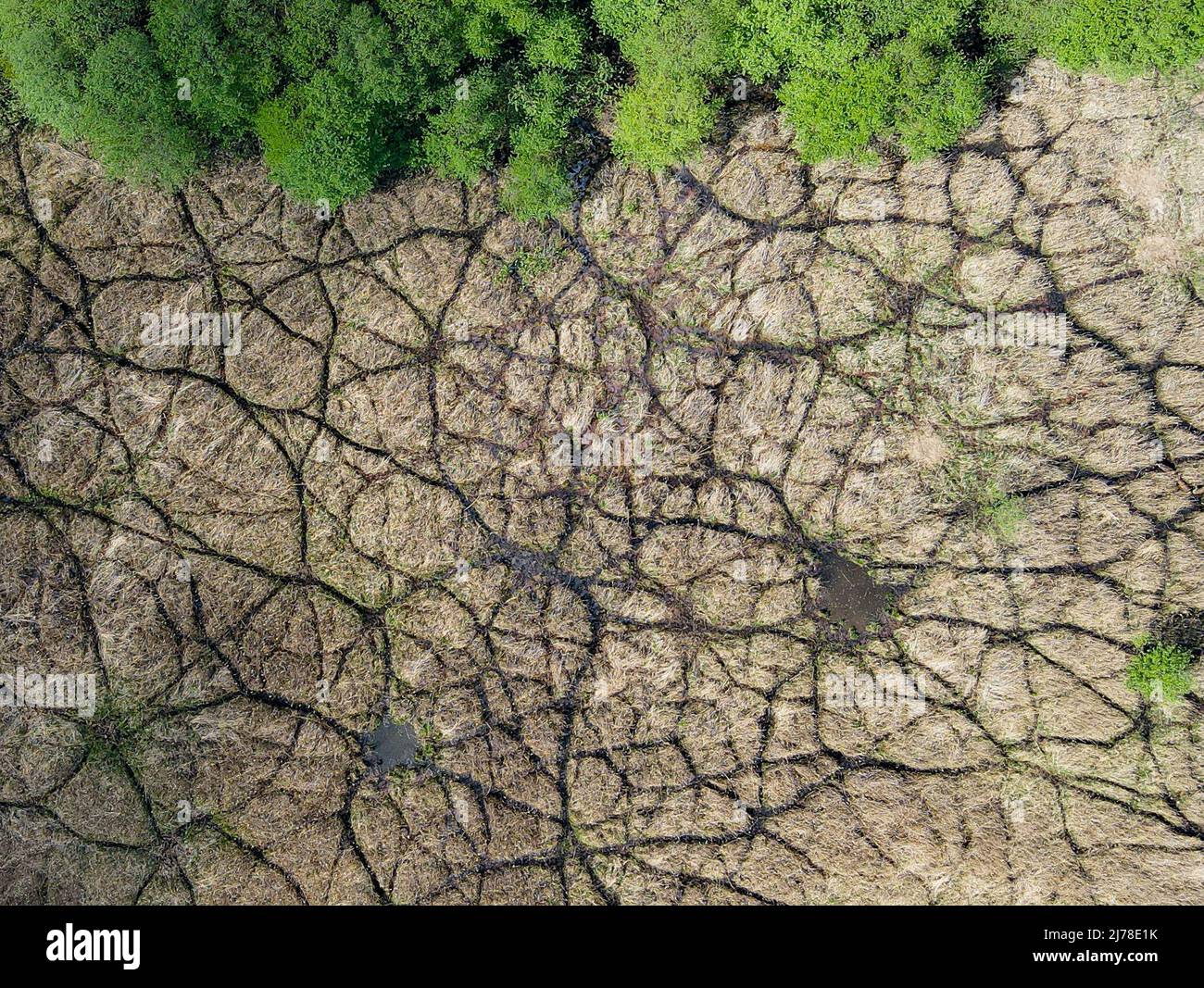 Map of reed hi-res stock photography and images - Alamy