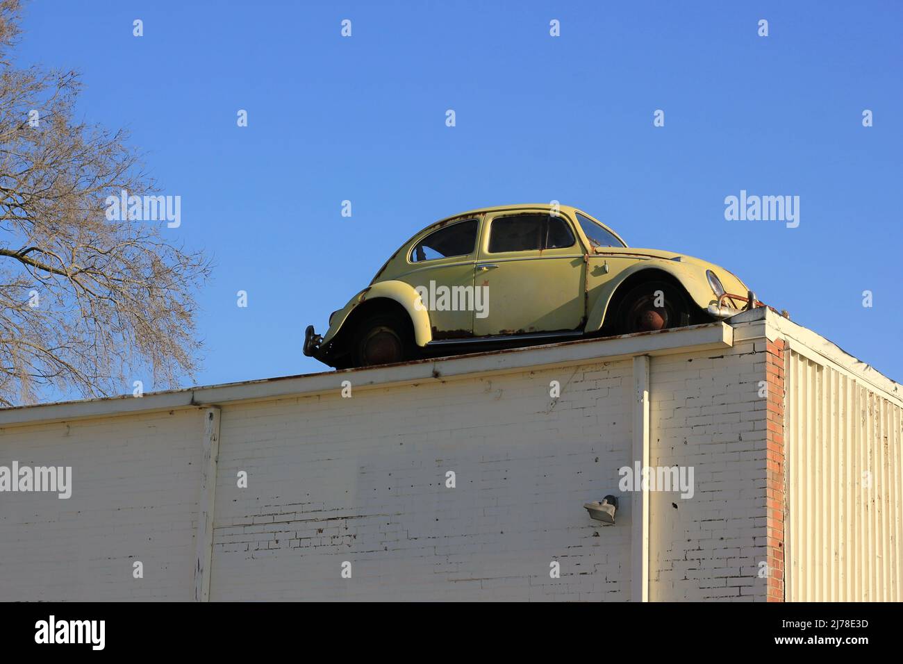 Vintage bright yellow Volkswagen bug beetle stuck on the roof of the ...