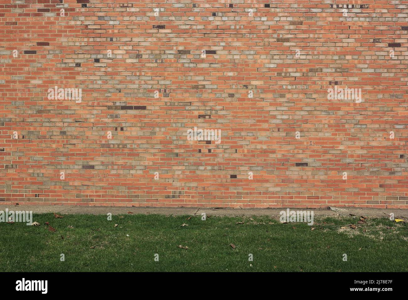 Plain and simple, common and typical brick wall with a patch of grass ...