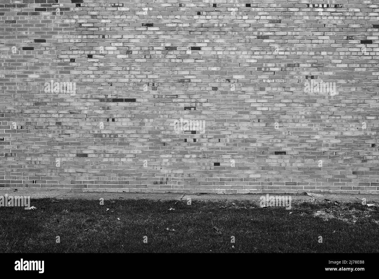 Plain and simple, common and typical brick wall with a patch of grass ...