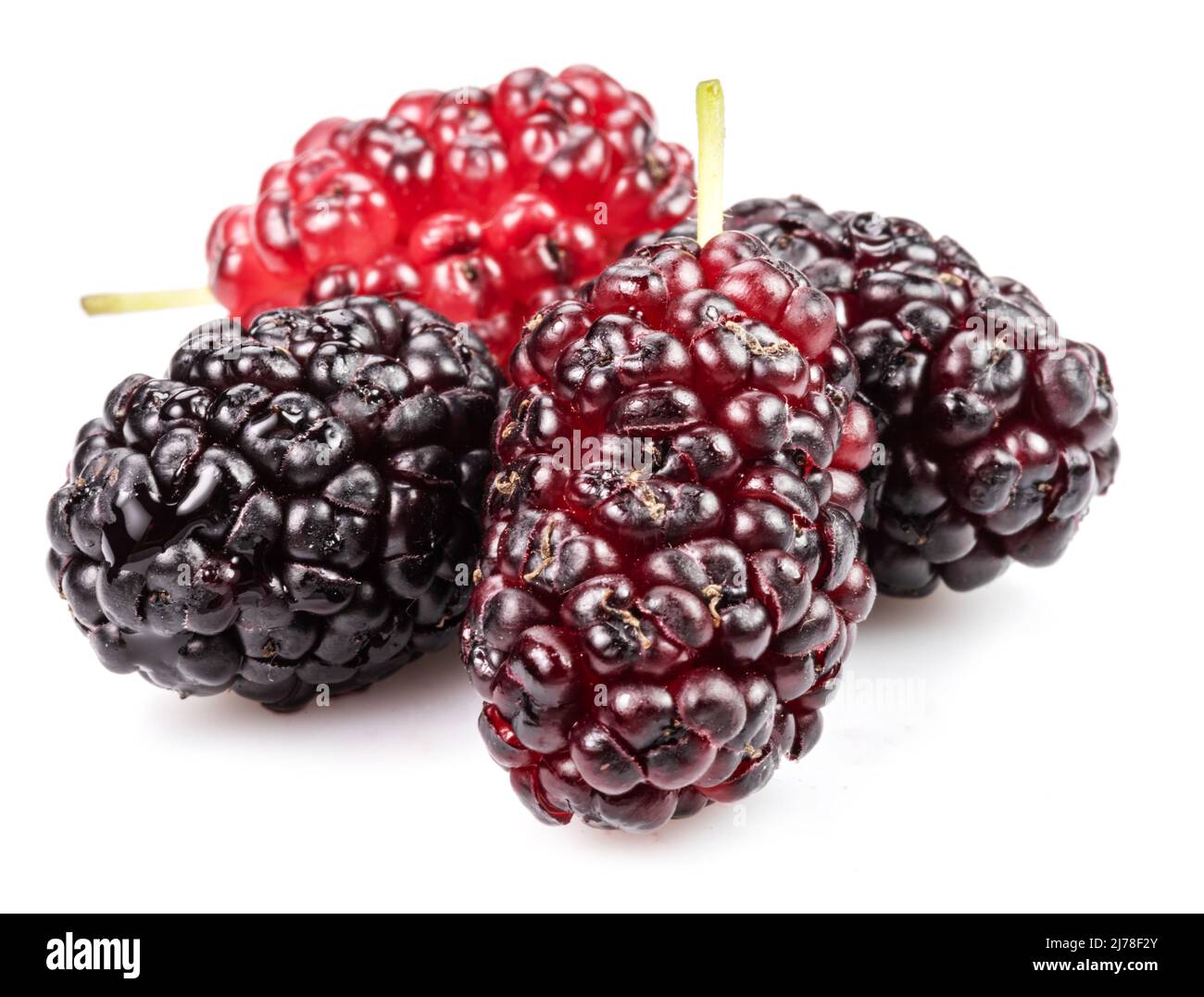 Ripe black mulberries fruits isolated on white background Stock Photo ...