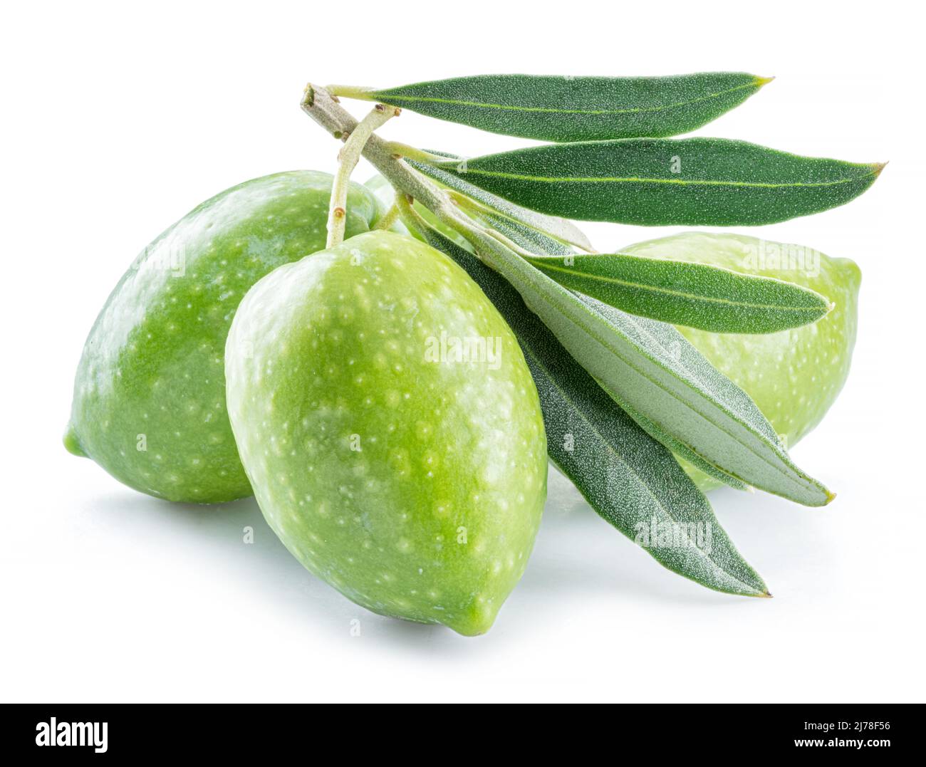 Green natural olives with leaves isolated on a white background Stock ...