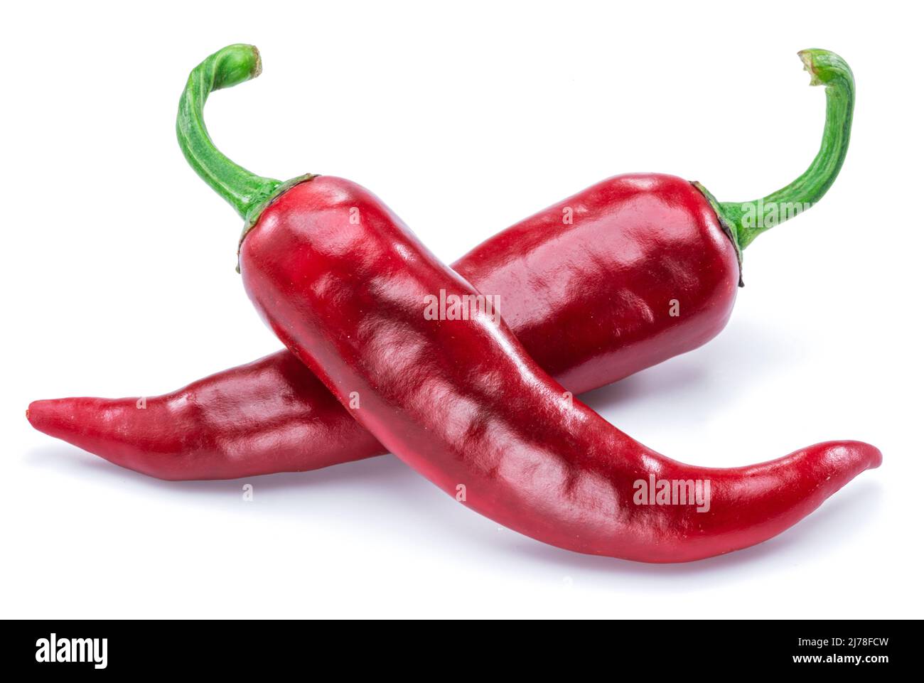 Fresh red chilli peppers isolated on white background Stock Photo - Alamy