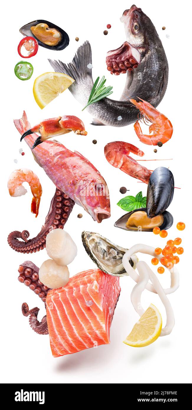 Fresh seafood, fish and seasonings levitating on white background. File ...