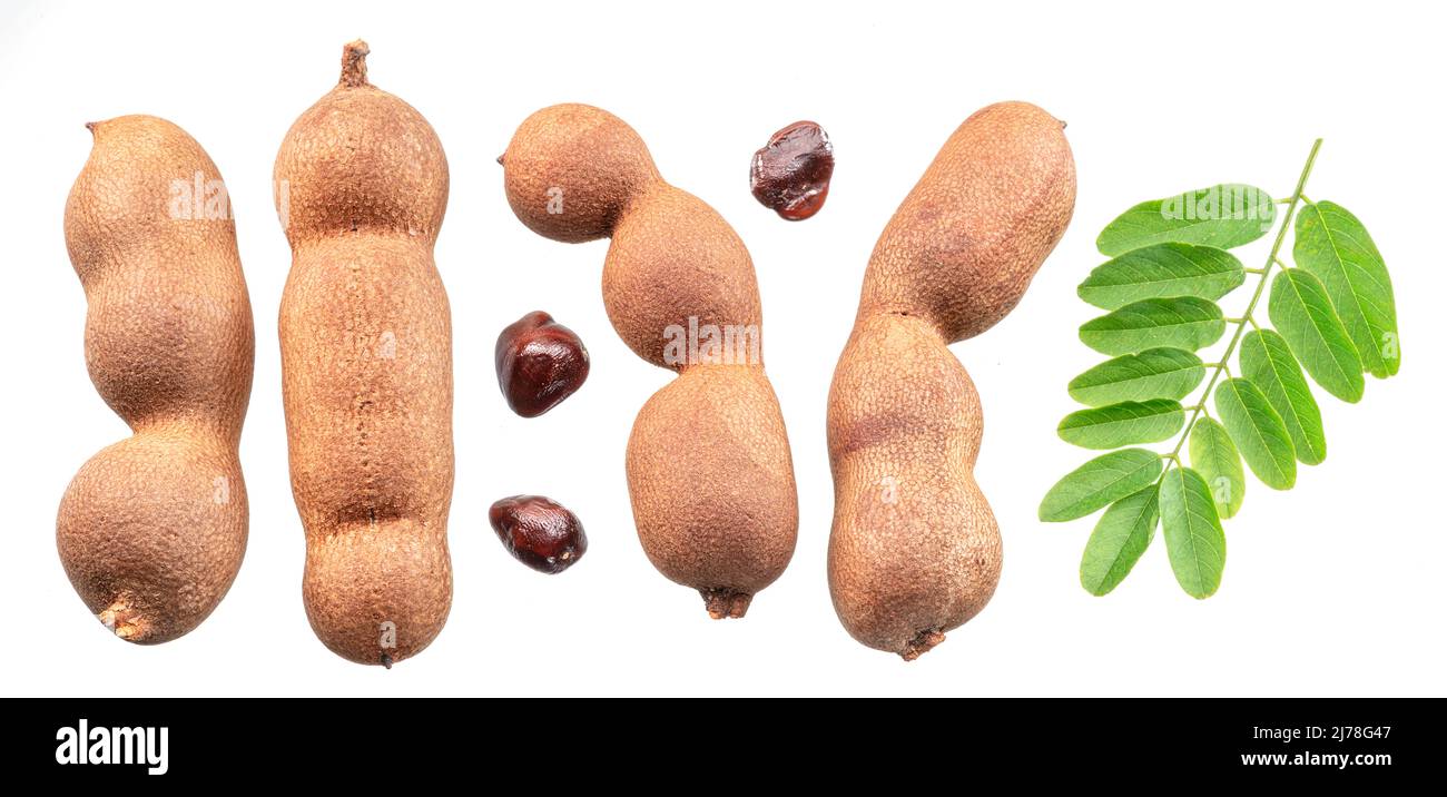 Set of ripe tamarind pods, leaves and tamarind seeds isolated on white ...