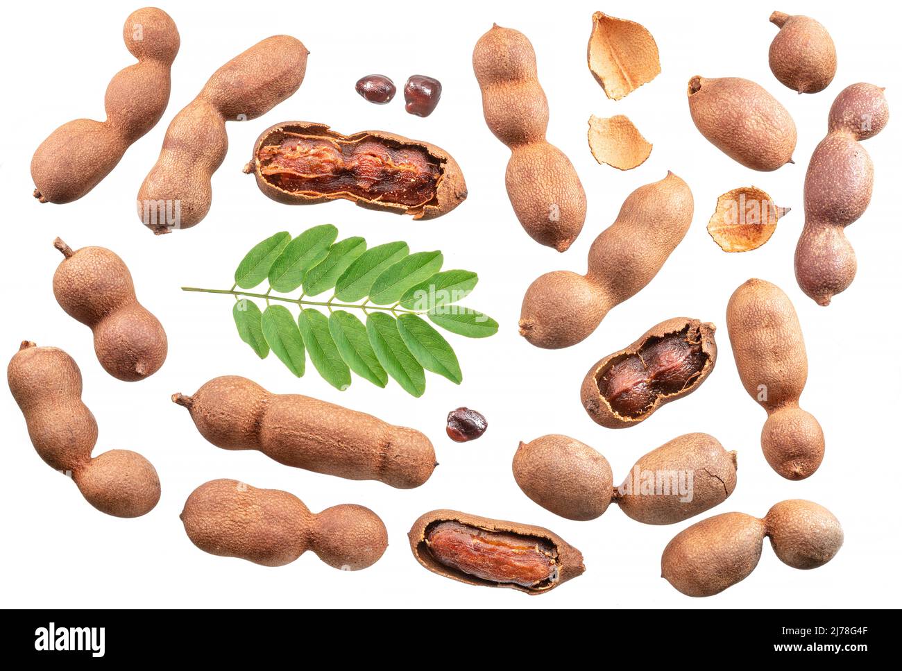 Set of ripe tamarind pods, leaves and tamarind seeds isolated on white ...