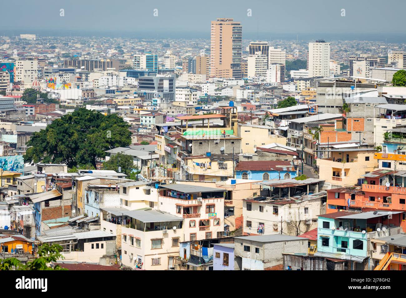 Guayaquil, Ecuador. Traditional colonial architecture in second largest ...