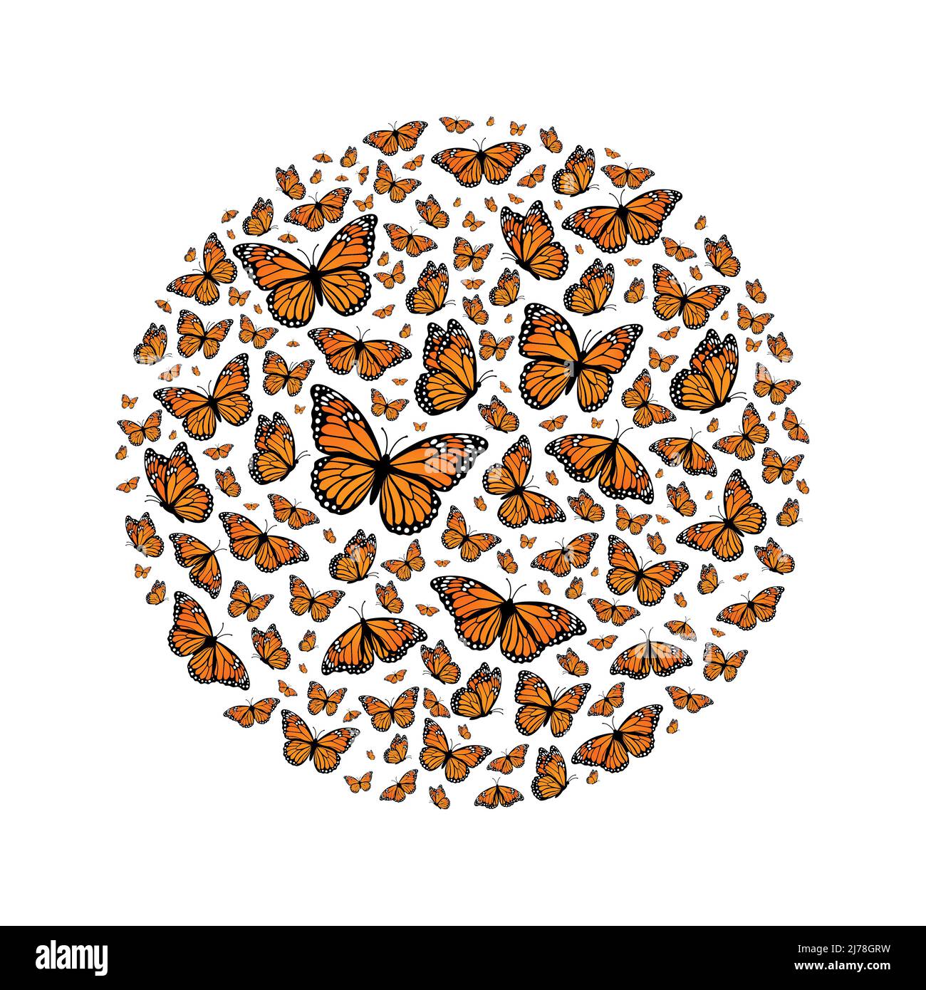 Monarch butterflies butterflies in the shape of a circle. Vector ...