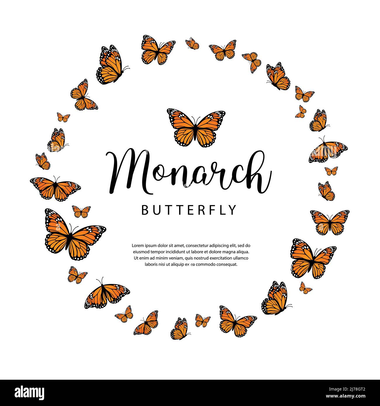 Monarch butterflies butterflies in the shape of a circle. Vector ...