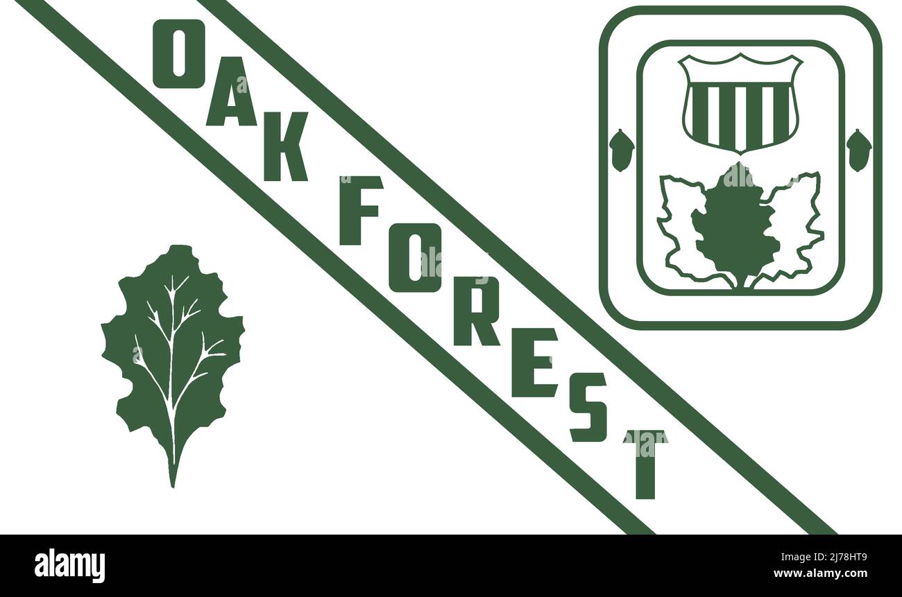 The flag as adopted by the city of Park Ridge Illinois Stock Photo - Alamy