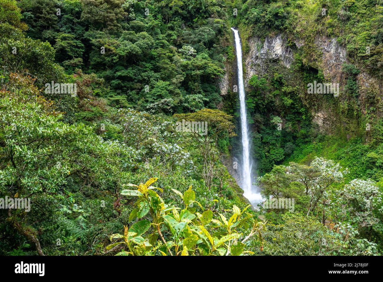 El Rocío Machay waterfall in Banos Santa Agua, Ecuador. South America ...