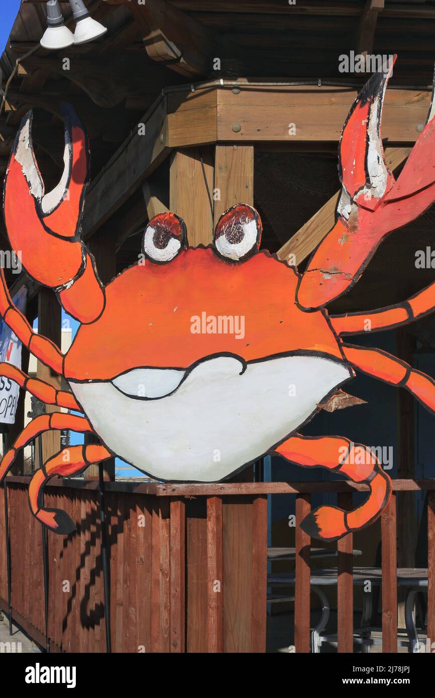 Cute bright orange painted crab with eyes, and claws advertising a ...