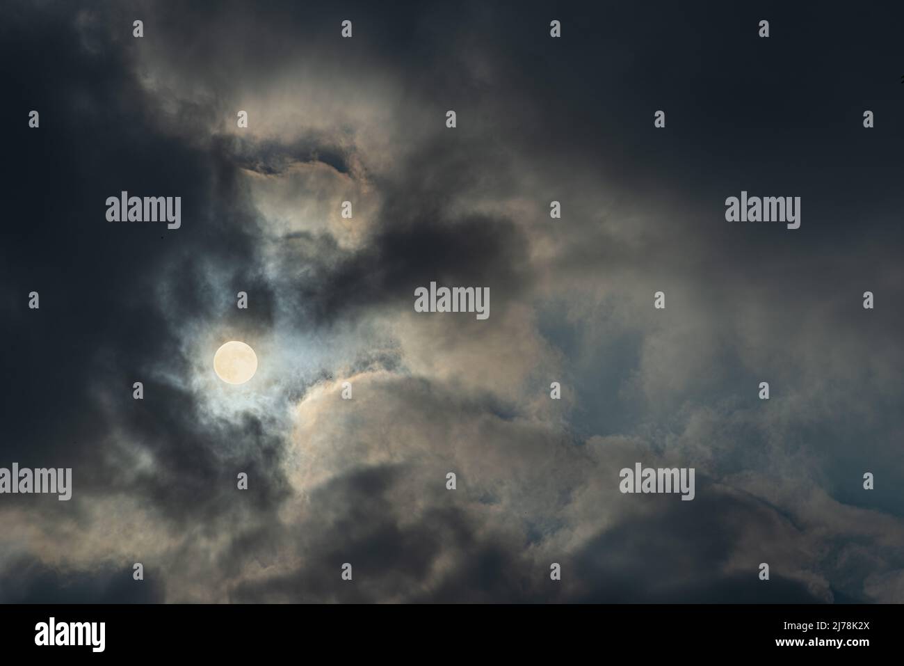 Luna wolf hi-res stock photography and images - Alamy