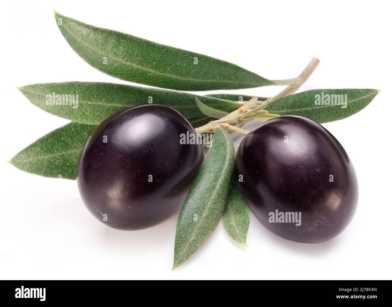 Purple olives with leaves on white background. Close-up Stock Photo - Alamy