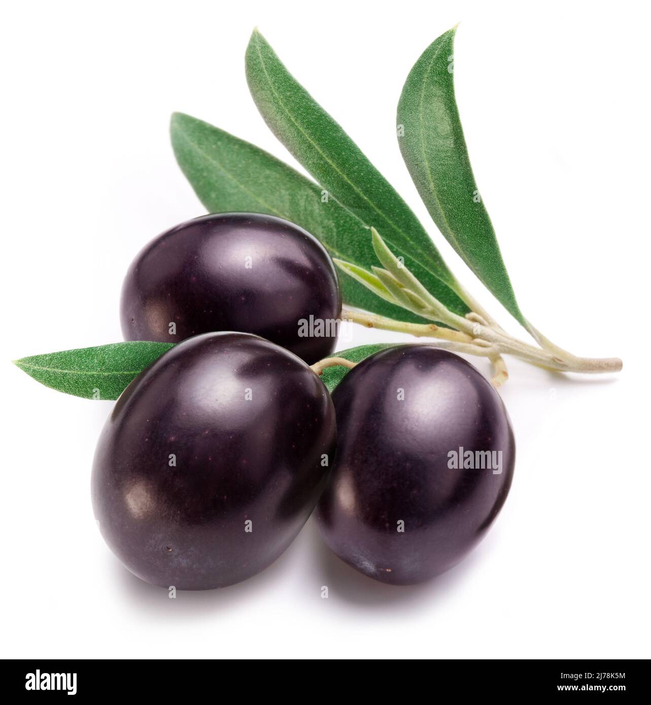 Purple olives with leaves on white background. Close-up Stock Photo - Alamy