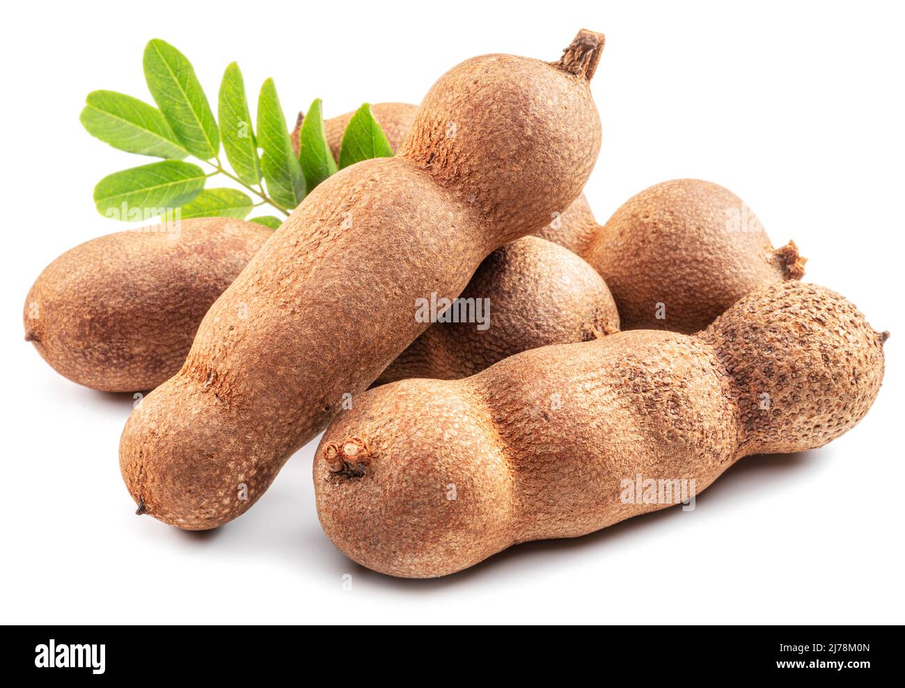 Ripe tamarind fruit pods and leaves isolated on white background Stock ...