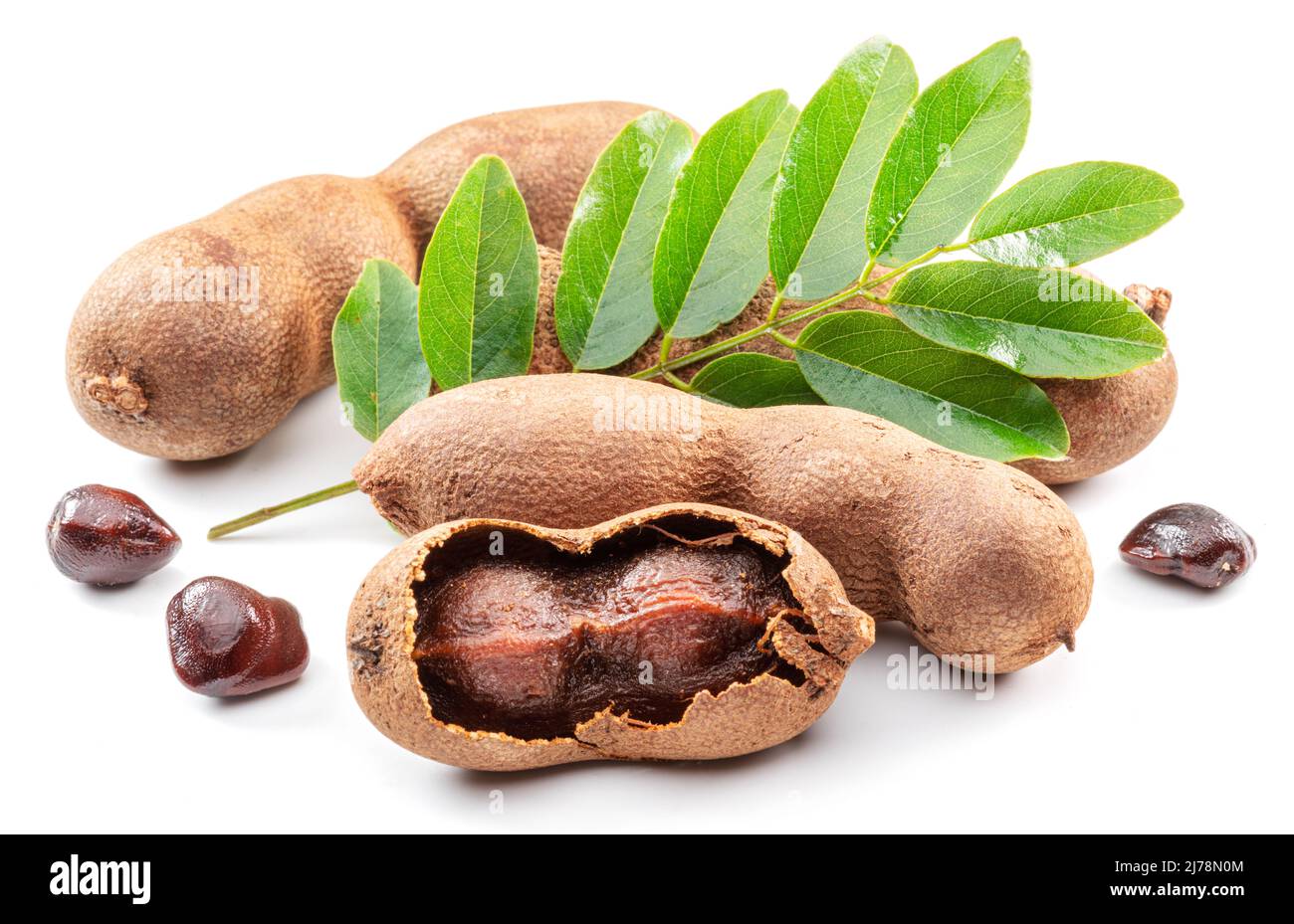 Ripe tamarind fruit, leaves and some tamarind seeds isolated on white ...