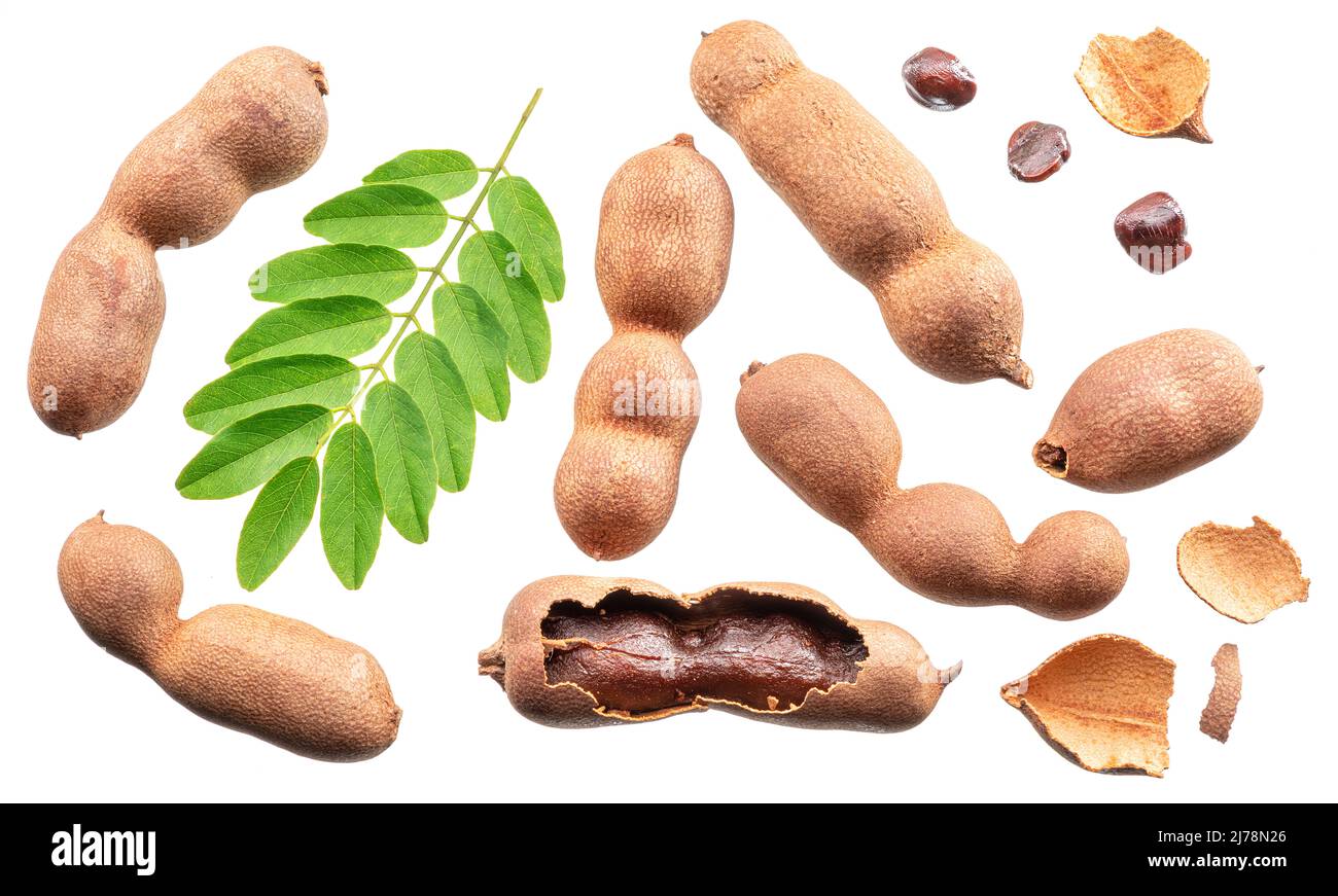 Set of ripe tamarind pods, leaves and tamarind seeds isolated on white ...
