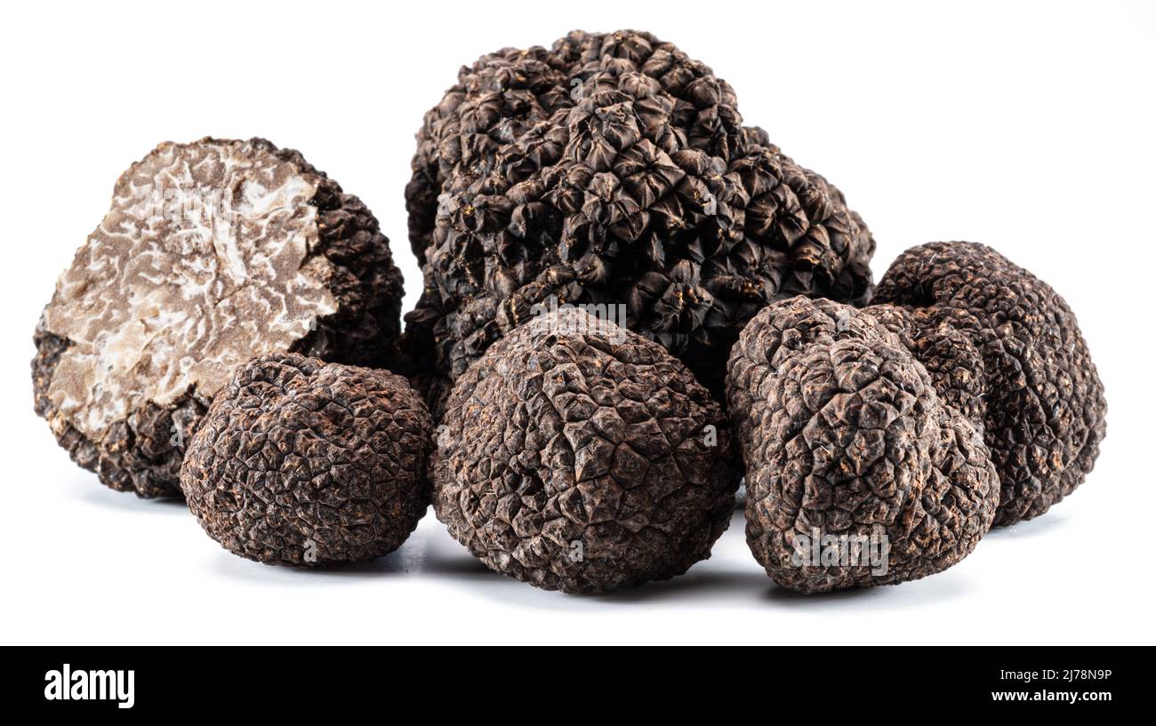 Black edible winter truffles on white background. The most famous of ...