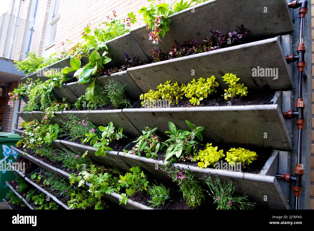 Urban Vertical Garden Wall