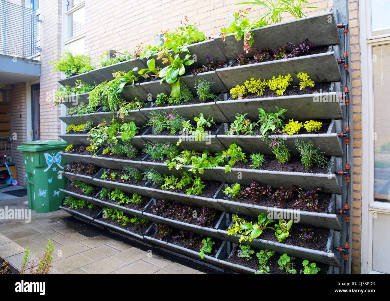 Living wall system for urban greening in the city of Oldenburg ...