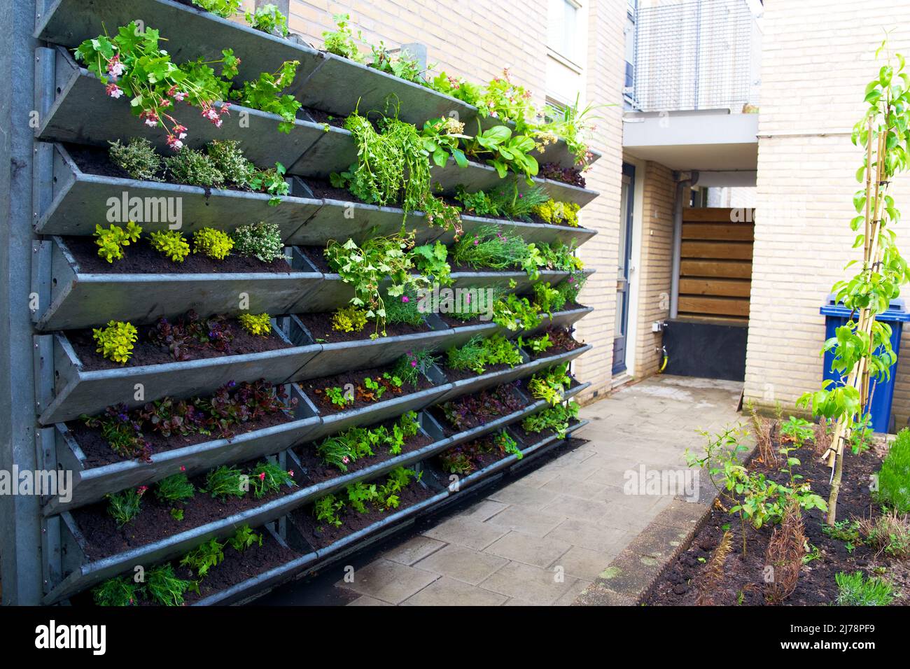 Living wall system for urban greening in the city of Oldenburg ...