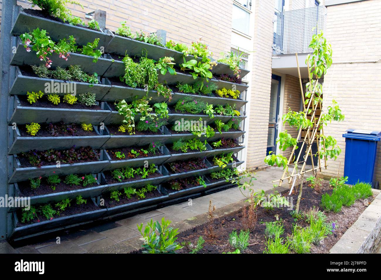 Living wall system for urban greening in the city of Oldenburg ...