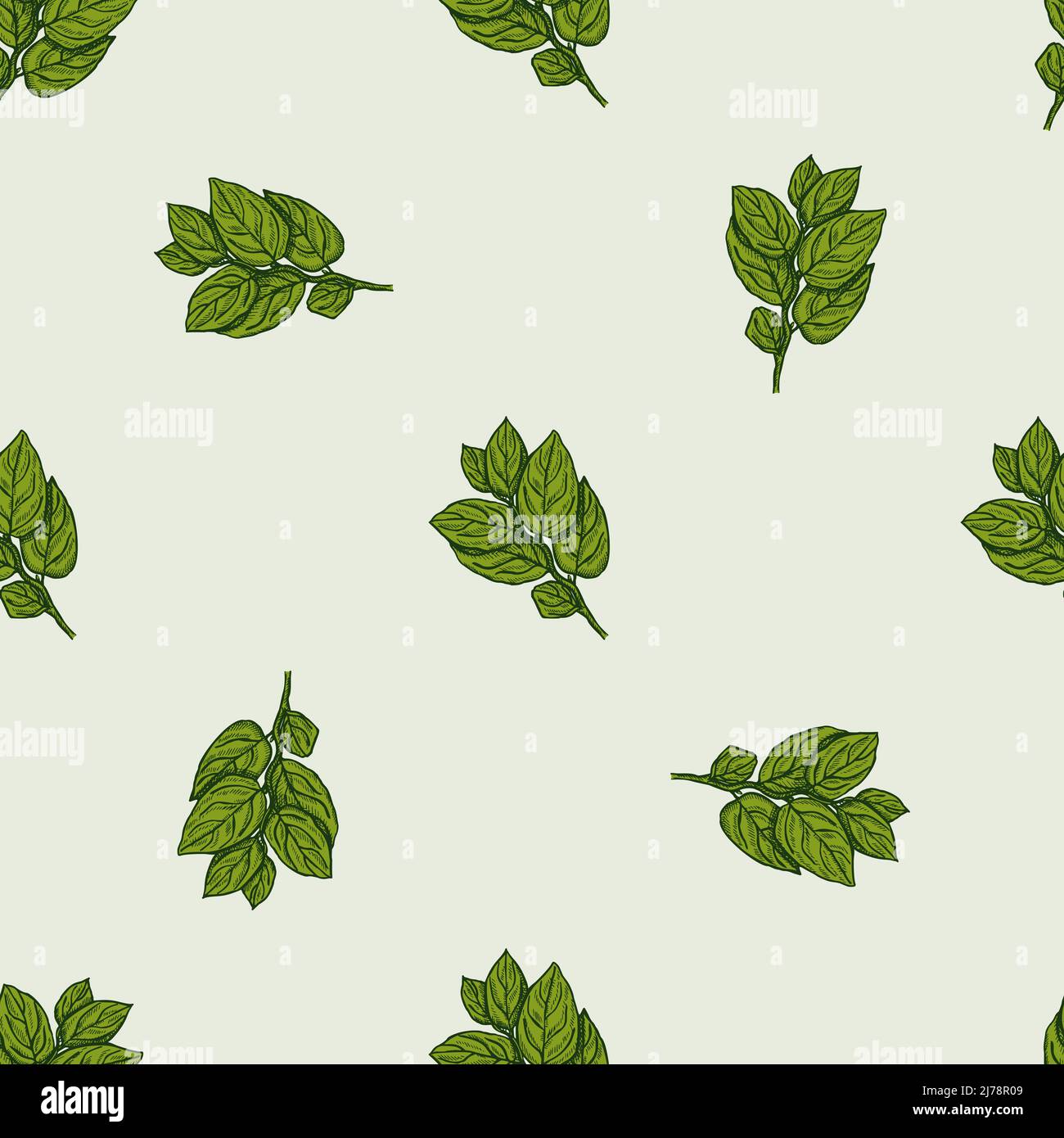 Seamless pattern engraved tree branches. Vintage background summer ...